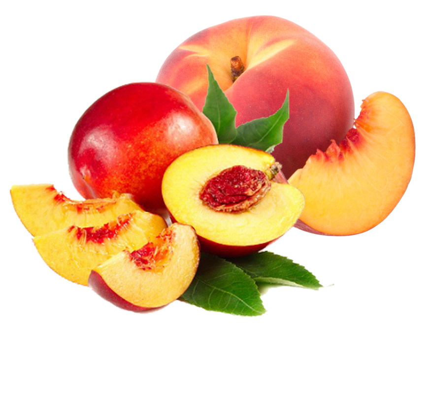 Peaches and Nectarines - Clima | high-quality fresh agricultural crops ...